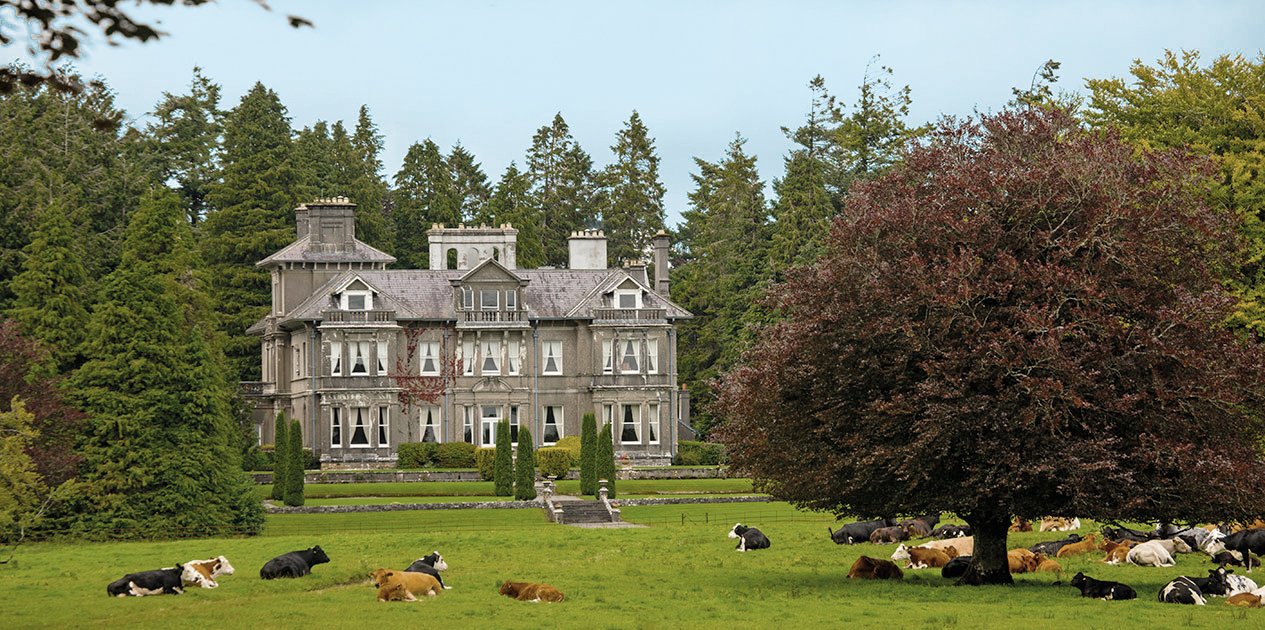 Historic Houses of Ireland