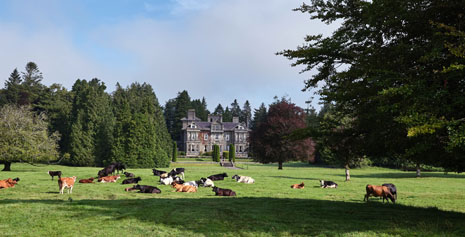 Historic Houses of Ireland